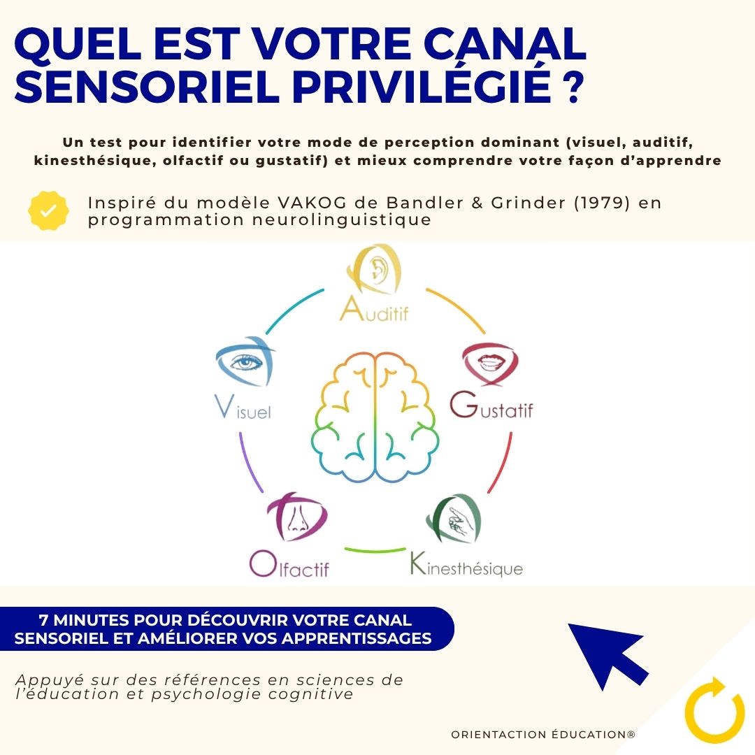 Test canal sensoriel – Découvrez votre façon d’apprendre – BOUTIQUE ...